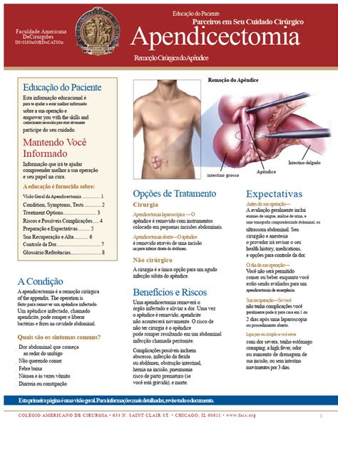 Guia Completo Sobre Apendicectomia Pdf Medicina Clínica