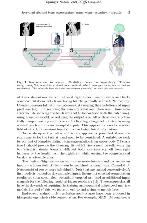 Improved Distinct Bone Segmentation In Upper Body Ct Through Multi Resolution Networks Deepai