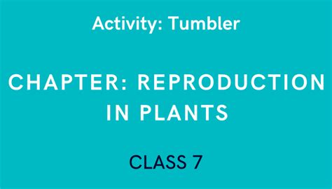 Preparation Of HCl Gas In Acids Bases And Salts Class Science Experiment