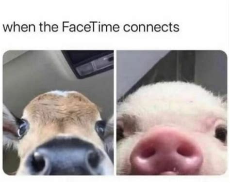 The Ultimate Collection Of Spicy Memes 49 Pics