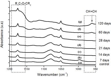 Materials Special Issue Biocompatibility Of Materials