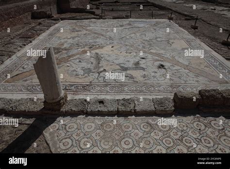 Ibexes Mosaic Hall Mosaic Floor From The Byzantine Era With Diagonally