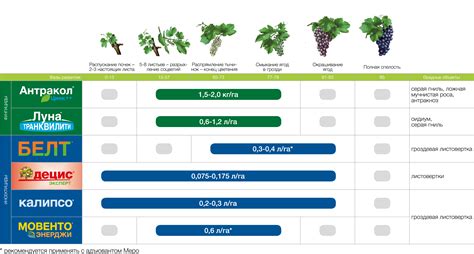 Комплексная система защиты винограда - Bayer Crop Science
