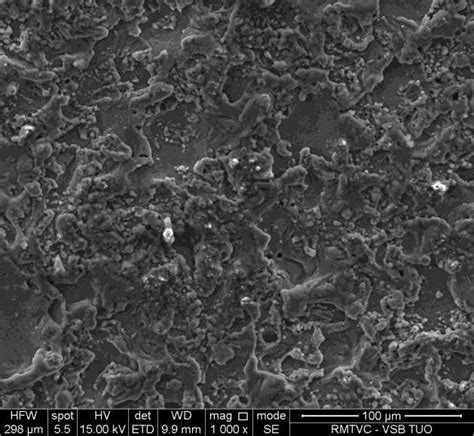 Surface Structure Of Al Foam Magnification Of 200x Download