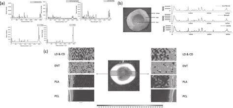 A Raman Spectra Of Pure Component B Spectra From Hollow Core Shell Download Scientific