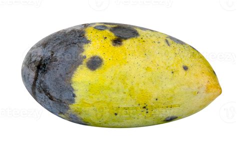 Rotten Mango Fruit Isolated PNG