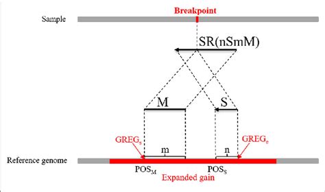 an example of the boundary detection method in the gain area the