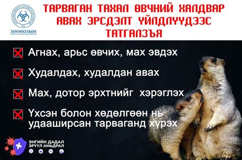 ЗӨВЛӨГӨӨ Тарваган тахлаас урьдчилан сэргийлэх аргууд