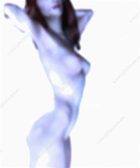 Naked Woman Computer Artwork Stock Image P Science Photo Library