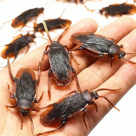 20 Pcs April Fools Day Simulation Cockroach Realistic Cockroach Trick Shein Eur