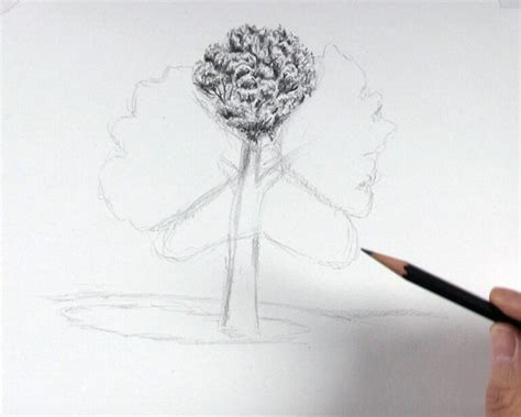 How To Draw A Tree With Leaves In A Surprisingly Familiar Way Let S Draw Today