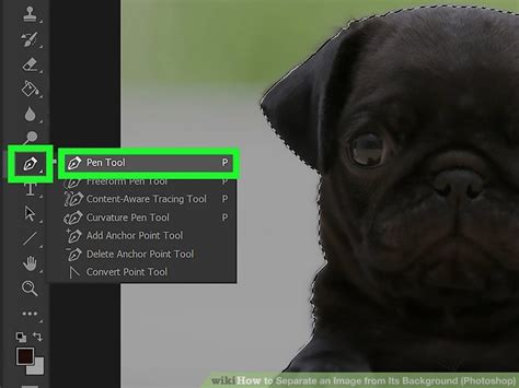 How To Separate An Image From Its Background Photoshop Steps
