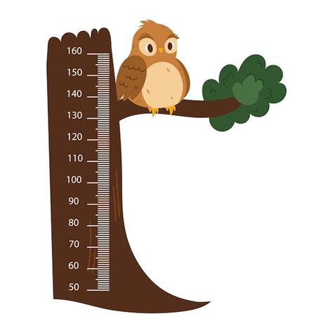 Owl Growth Chart Brand New Oopsy Daisy Growth Chart Woodland Friends