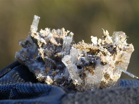 Más De 10 Imágenes Gratis De Twinni Eis Y Eis Pixabay