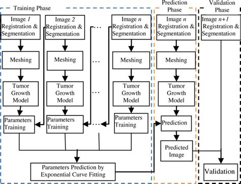 Flowchart Of The Proposed Tumor Growth Prediction System Download