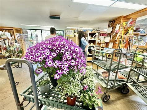 Sloat Garden Center Updated July 2024 359 Photos And 242 Reviews 2700 Sloat Blvd San