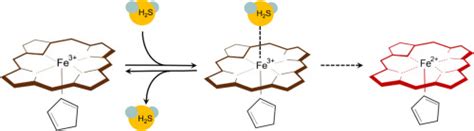 生理条件下三价铁血红蛋白和肌红蛋白与硫化氢的反应 Journal Of Inorganic Biochemistry X Mol