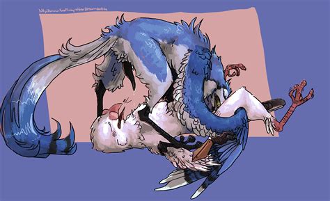 Rule 34 69 Position Animal Genitalia Anthro Anthro On Feral Avian