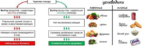 5 фактов о гликемическом индексе Простой или сложный Какой углевод выбрать Broccoli Vibes