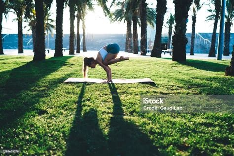 코카서스 여성 하 고 아사나 하 고 손에 몸의 힘을 유지 에 집중 공원에서 요가 훈련을 즐기는 여자 는 에너지를 얻기위한 아침 일출에 휴식 하는 동안 자연 영감을 느낌