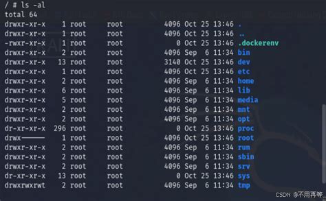 Docker容器逃逸学习笔记docker Run D 启动容器 一段时间后容器没了。 Csdn博客