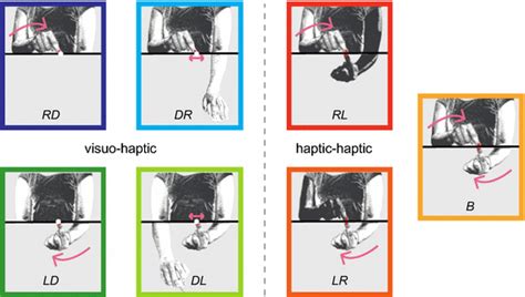 Seven Different Matching Tasks In “experiment 2” Section Four Tasks Download Scientific
