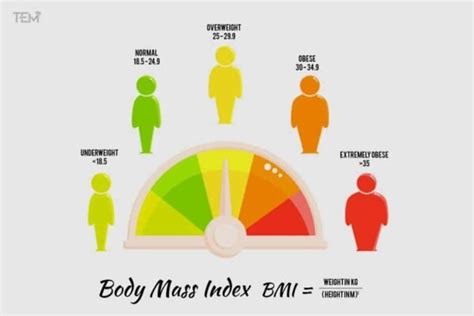 Keep Your Fat In Check By Calculating Your Body Mass Index