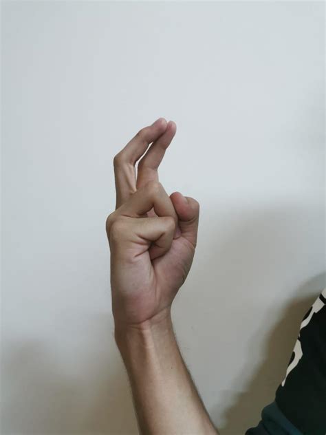 Rgb Arabic Alphabet Sign Language Aasl Dataset Object Detection Dataset V12 2023 04 03 4