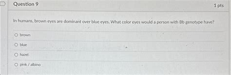 Solved Question 91 PtsIn Humans Brown Eyes Are Dominant Chegg Com