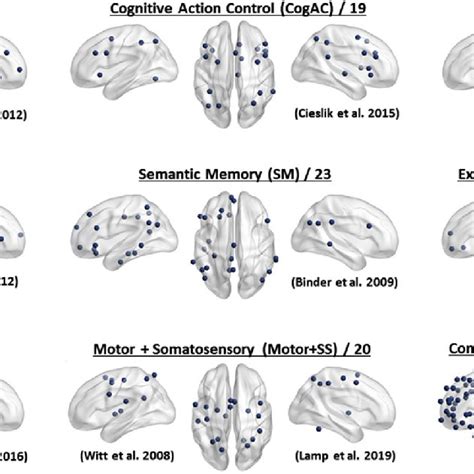 E Nodes Of Meta Analytically Defined Networks Download Scientific