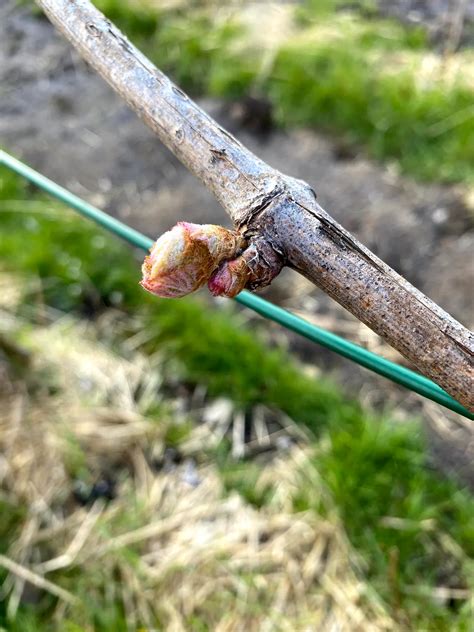 Create An Api Gateway Using Nodejs And Express By Bram Janssen Geek