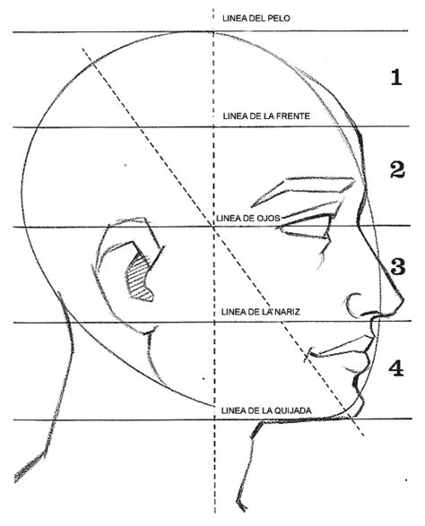Dibujos De Perfiles De Rostros Imagui