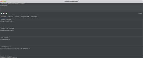 Zap Custom Endecoder 만들기 Hahwul