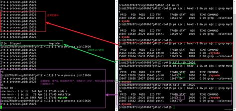 Linux：进程概念（三详解进程：进程状态、优先级、进程切换与调度）前台进程和后台进程 Csdn博客