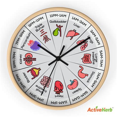 Is It Time For A Tcm Organ Reset Using The Tcm Clock For Yinyang