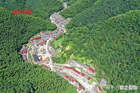 村民用乱竹遮挡水潭为啥不欢迎游客宁波五个石门村南辕北辙 知乎