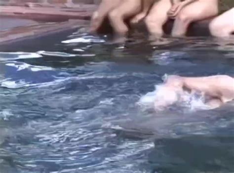 Vintage Guys Being Photographed At Pool Naked ThisVid 日本語で