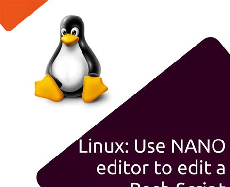 Best Bash Script Courses And Certifications 2023 Coursera Online Learning