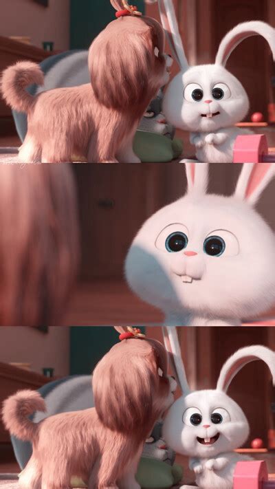 兔老大 高清图片，堆糖，美图壁纸兴趣社区