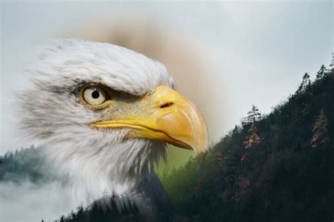 Python 使用 PIL Image 疊合兩張影像教學與範例 Office 指南 Python 使用 PIL Image 疊合兩張影像教學與範例 Office 指南