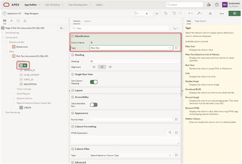 Using Native Plsql Api Rich Text Editor Pro For Oracle Apex