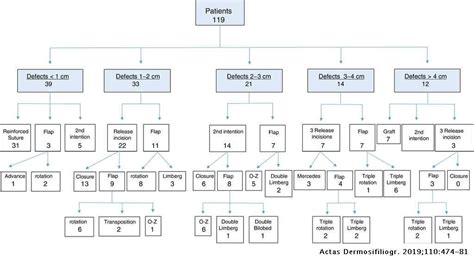 Reconstruction Of Moderate Sized Scalp Defects A 1 2 3 Rule Actas Dermo Sifiliográficas