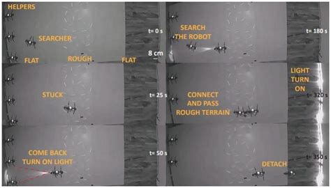 scientists build four legged swarm robots can help each other navigate