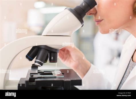 Scientist Using Microscope In Laboratory Stock Photo Alamy