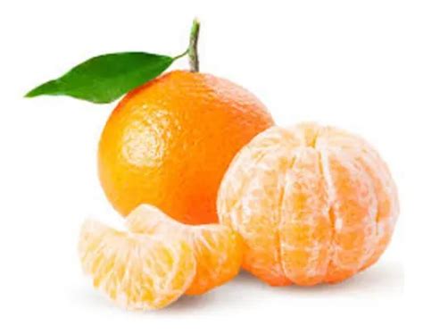 Planta Mandarina Dancy Blanco Mercadolibre