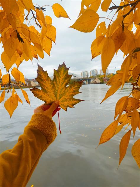 Осень October в 2022 г Музыкальные картины Осень Фотографии