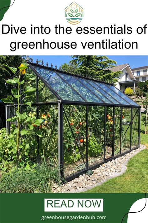Greenhouse Climate Control Air Circulation Techniques Greenhouse Garden Hub In 2024