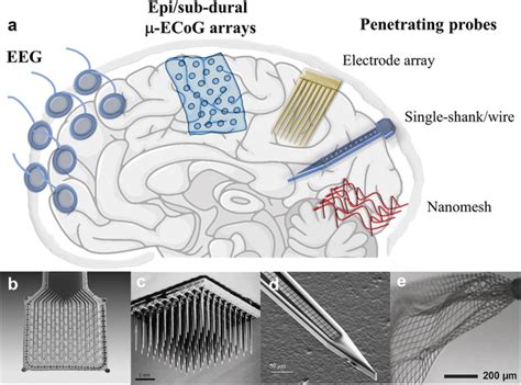 Neural Devices For Extracellular Recording And Stimulation A