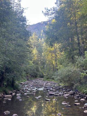Christopher Creek Campground Updated July 2026 260 Hwy Payson