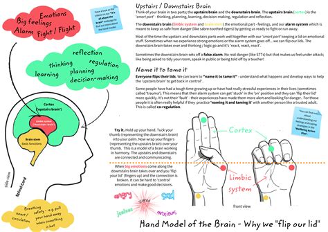 Its All About That Brain Startnow Cornwall